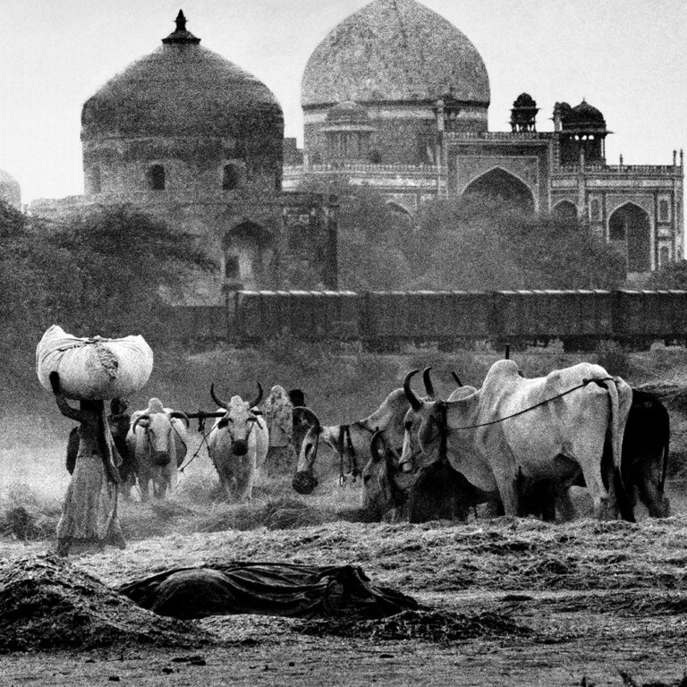 Raghu Rai Foundation – A FOUNDATION FOR ART AND PHOTOGRAPHY