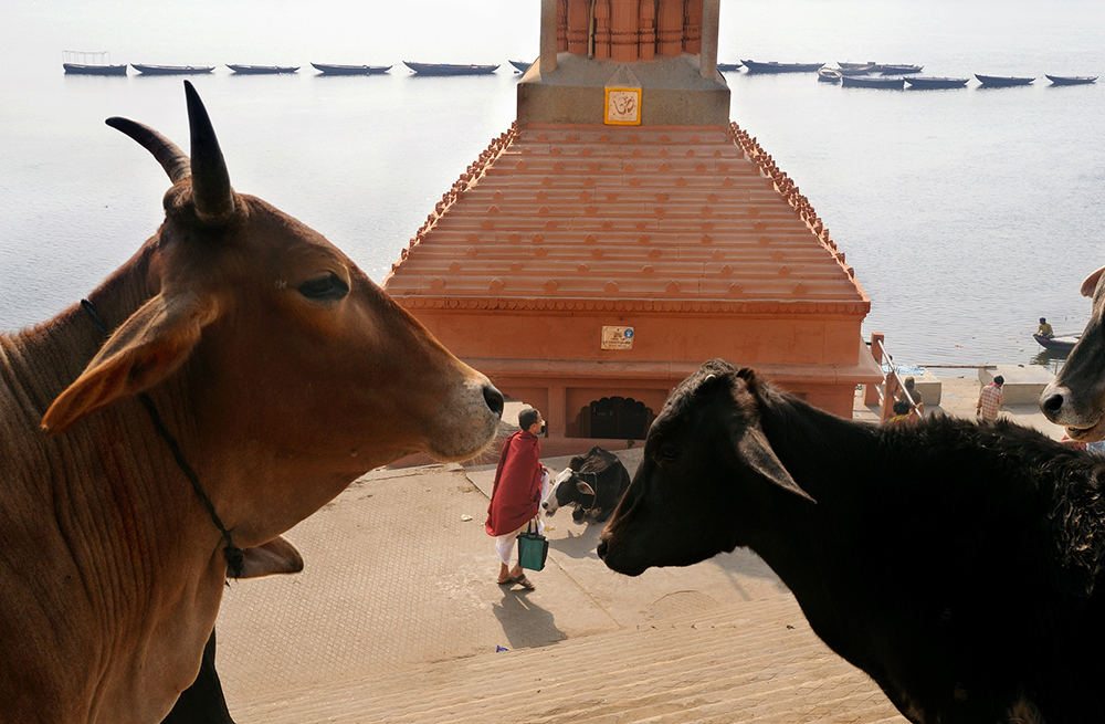 RETROSPECTIVE COLOR – Raghu Rai Foundation