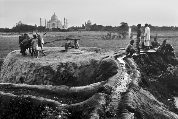 TAJ MAHAL – Raghu Rai Foundation